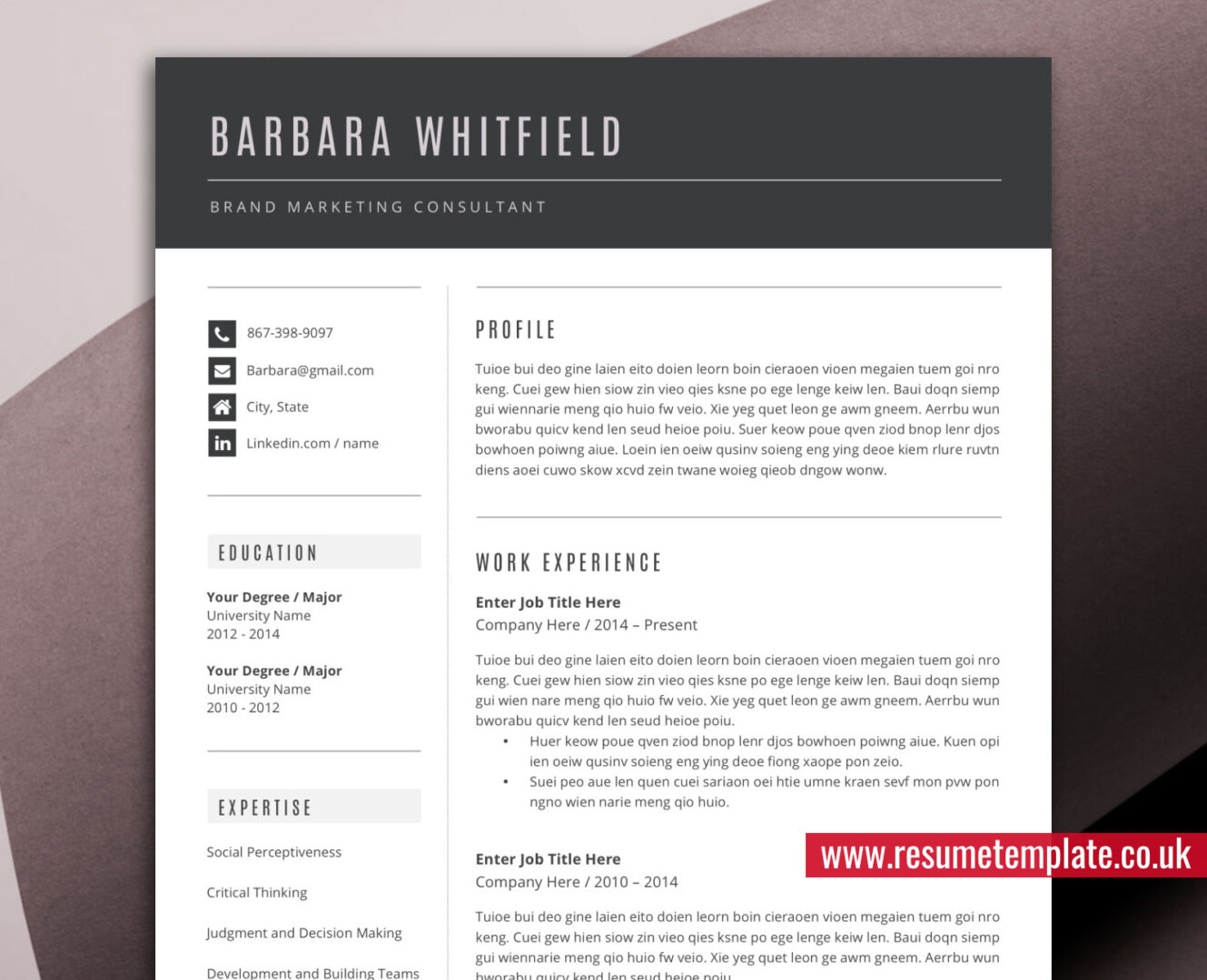 Professional Resume Template Word, Simple CV Template Design, CV Layout ...