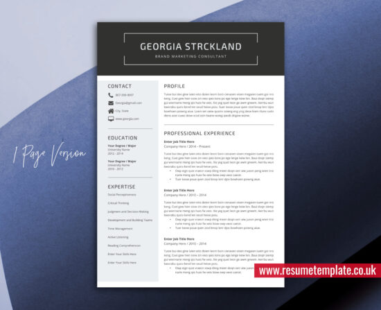 Simple Resume Template, Professional CV Template Design, CV Layout ...