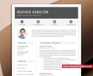 Professional Resume Template, Editable CV Template, CV Sample, Resume ...