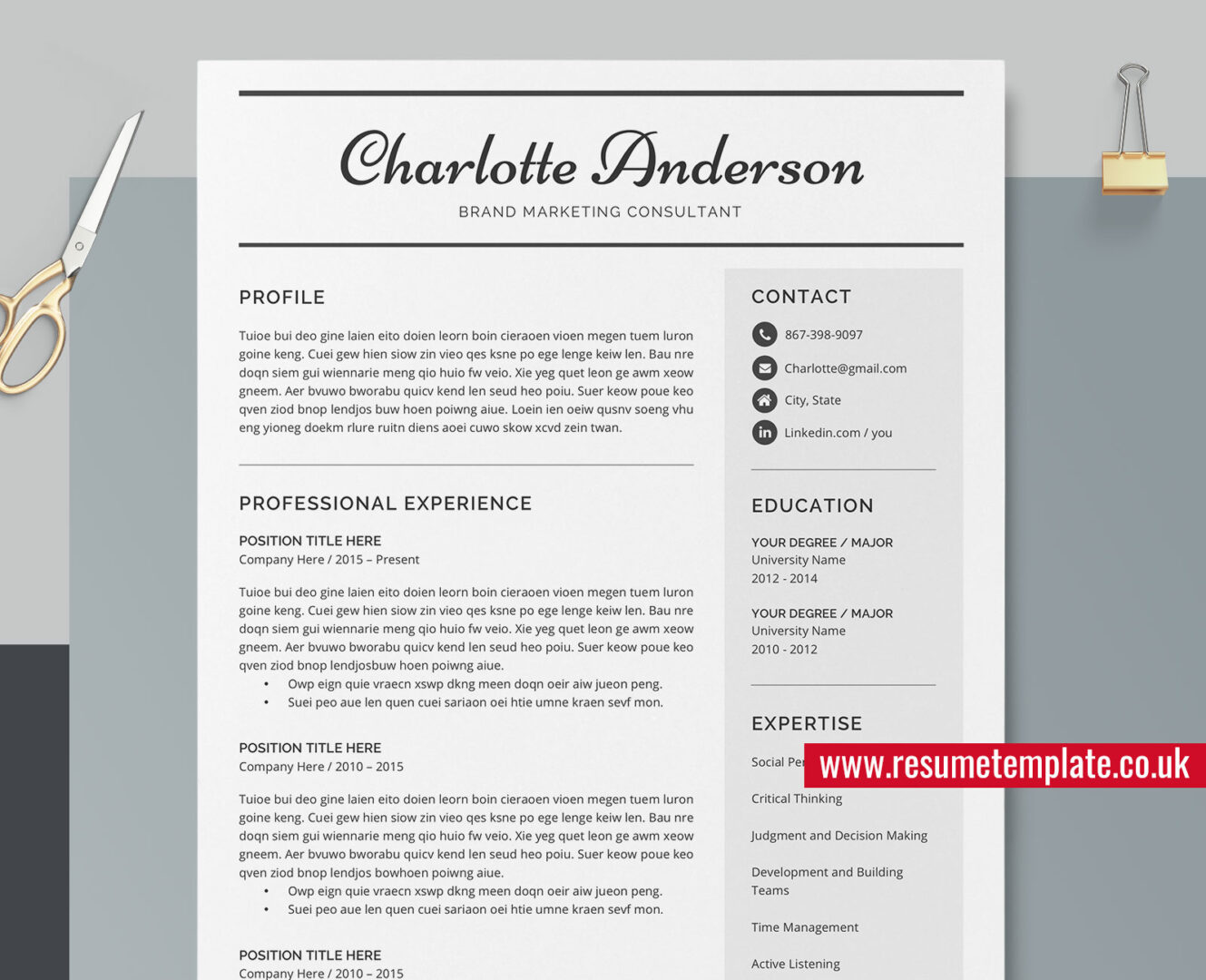 Professional CV Templates Word, Modern CV Format, Curriculum Vitae ...