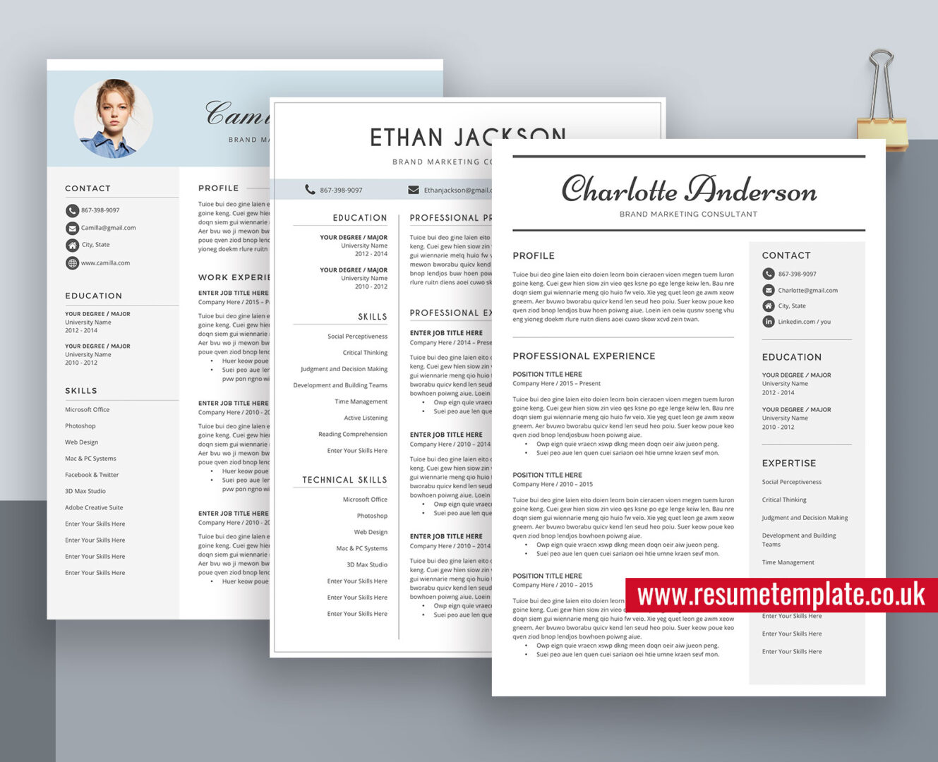 Professional CV Templates Word, Modern CV Format, Curriculum Vitae ...