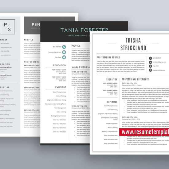 Professional CV Templates for MS Word, Simple Resume Templates, Cover ...
